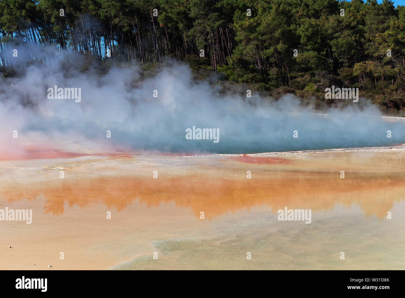 Country of geysers in, Rotorua, New Zealand Stock Photo - Alamy