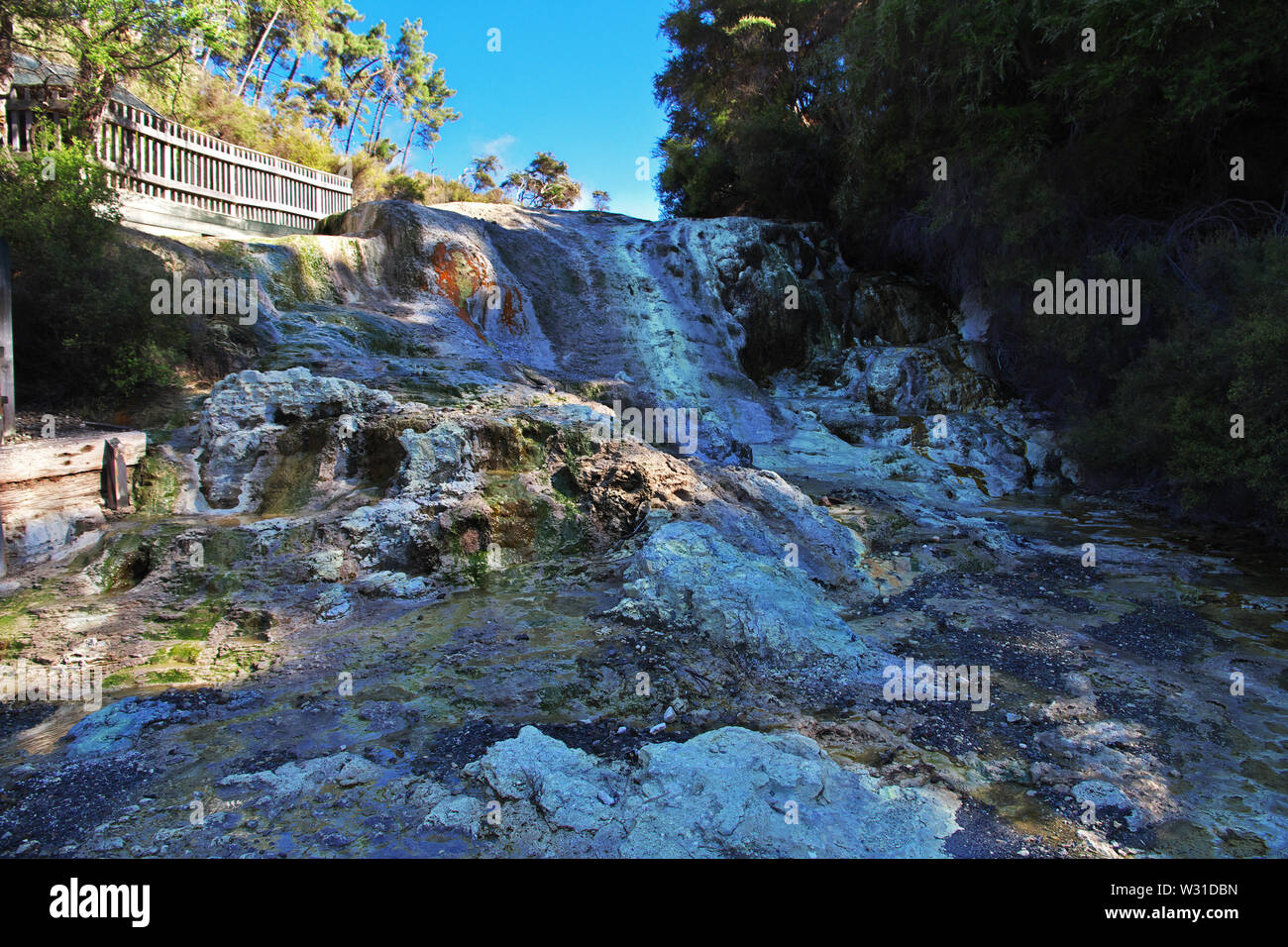 Country of geysers in, Rotorua, New Zealand Stock Photo - Alamy