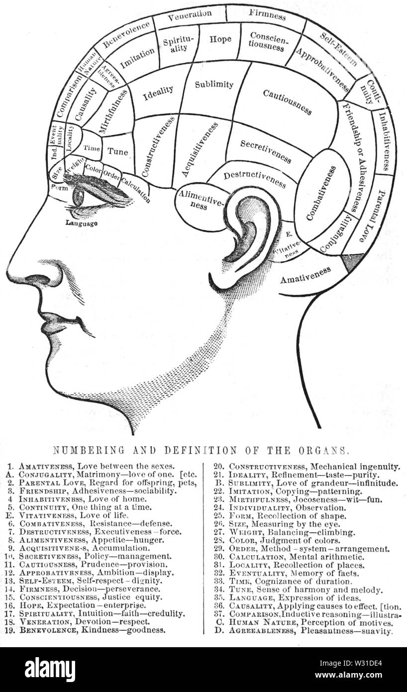 Phrenology—Numbering and Definition of the Organs Stock Photo - Alamy