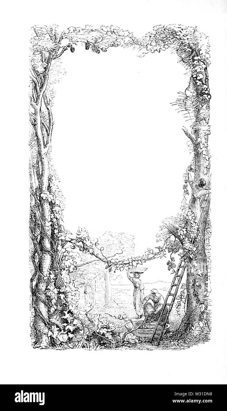 Page borders design Black and White Stock Photos & Images - Alamy