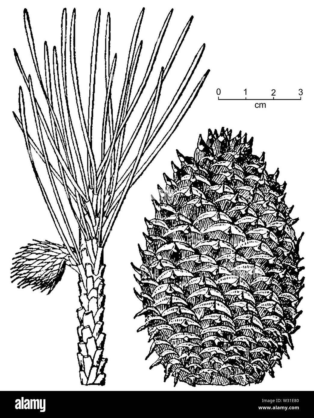 Mountain art drawing Black and White Stock Photos & Images - Alamy