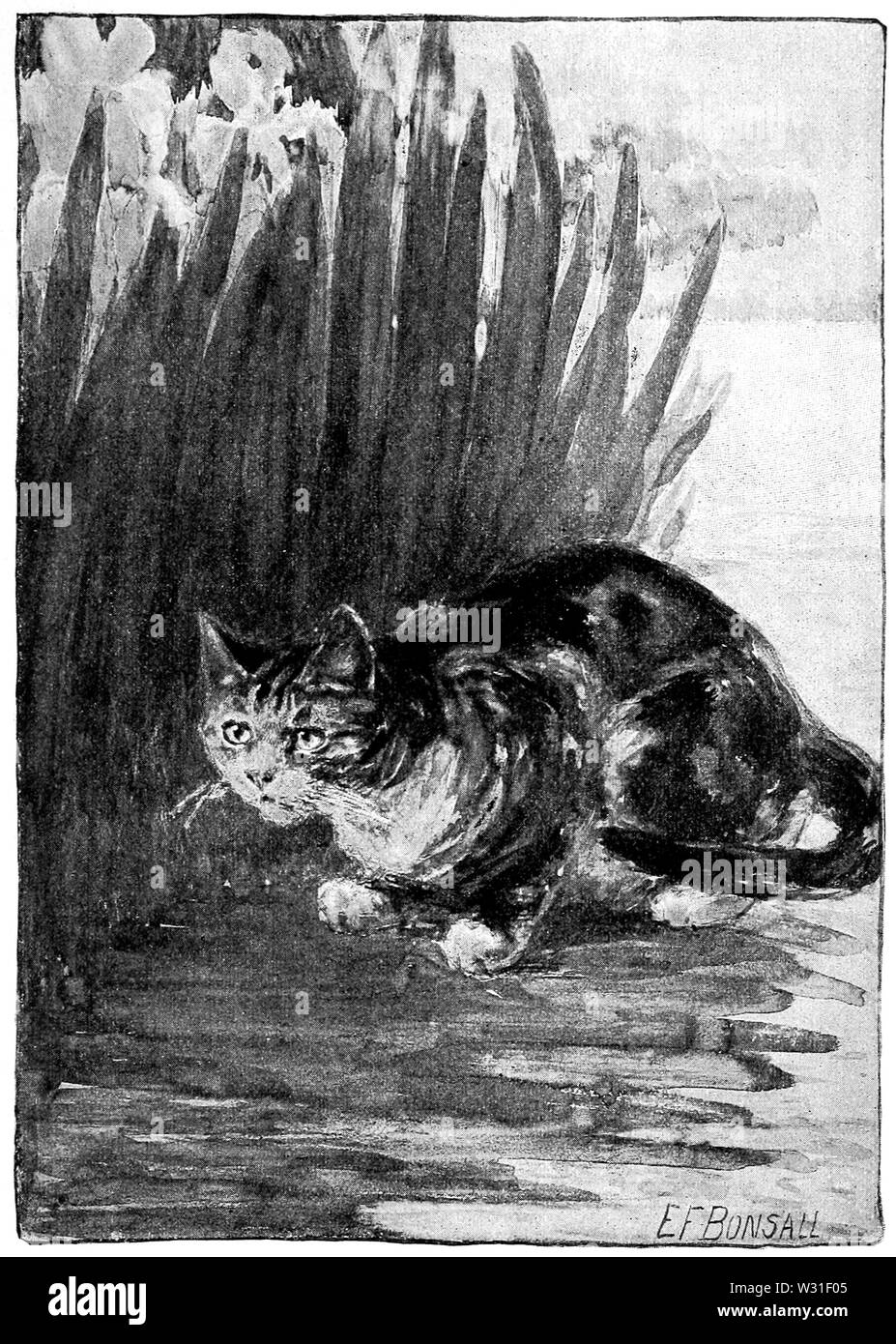 Sphinx sphinx Cut Out Stock Images & Pictures - Alamy