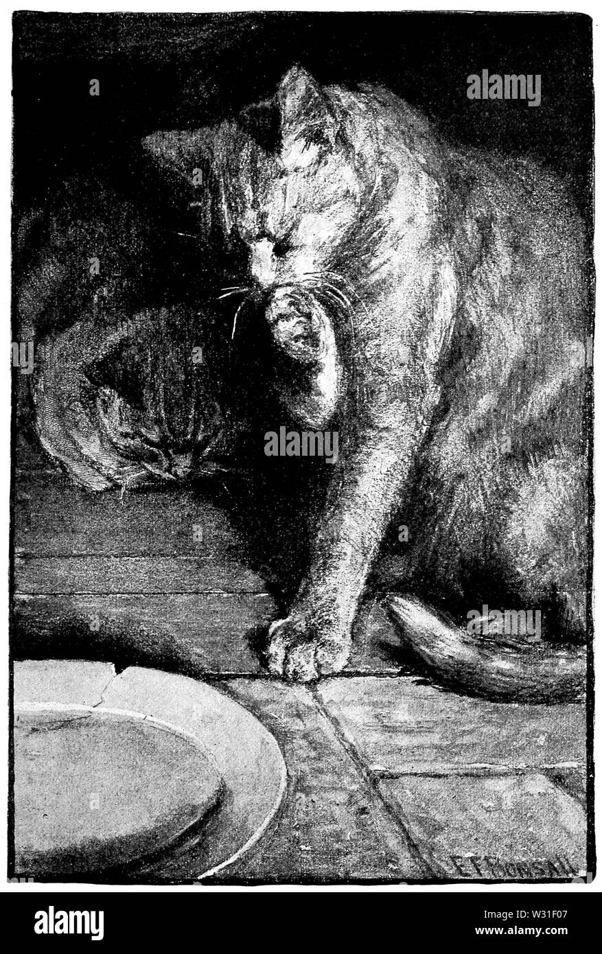 Sphinx sphinx Cut Out Stock Images & Pictures - Alamy