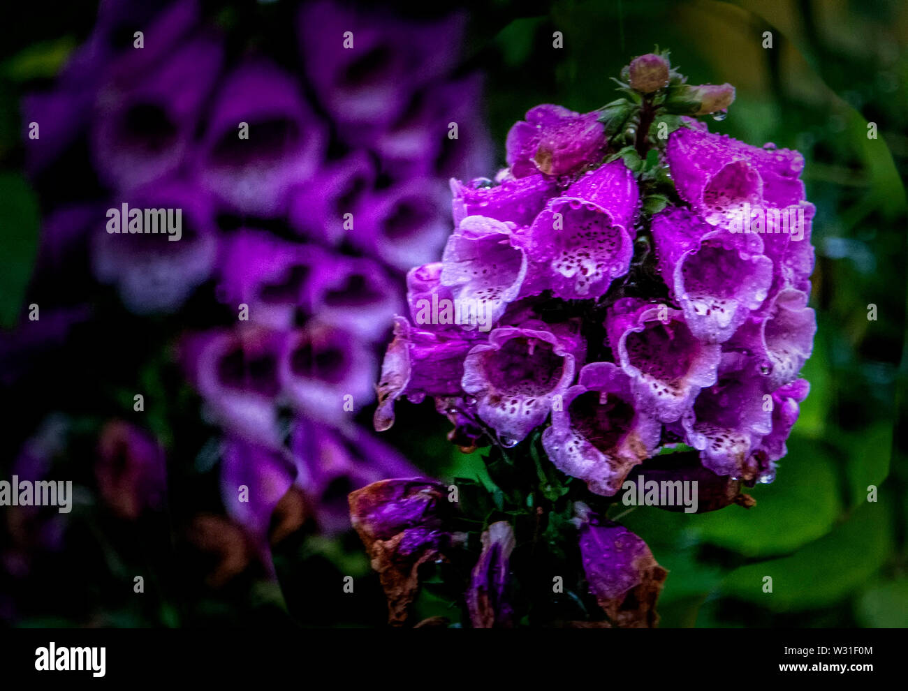 Three dimensional looking hi-res stock photography and images - Alamy