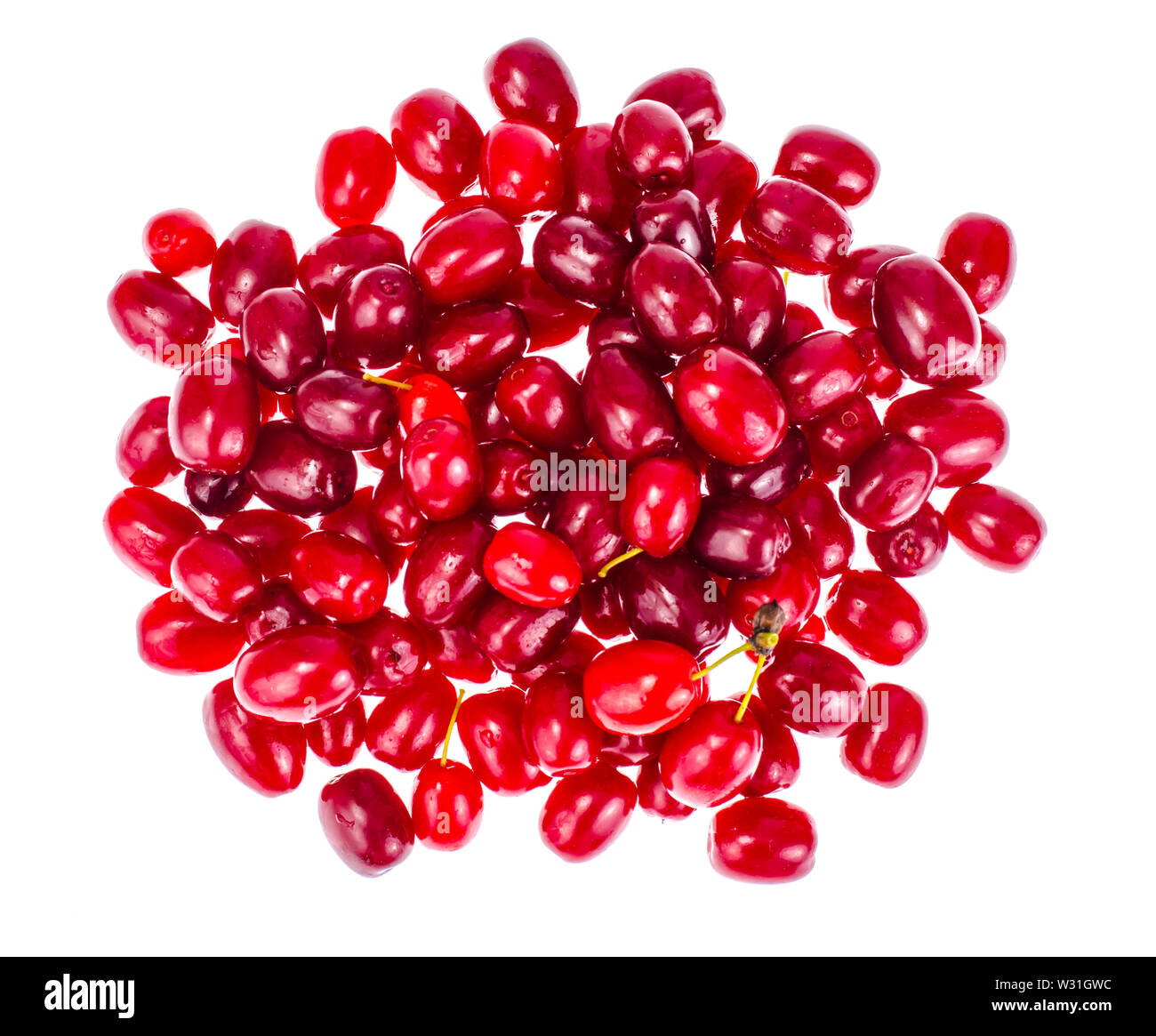 Red ripe berries of Cornus mas Stock Photo - Alamy