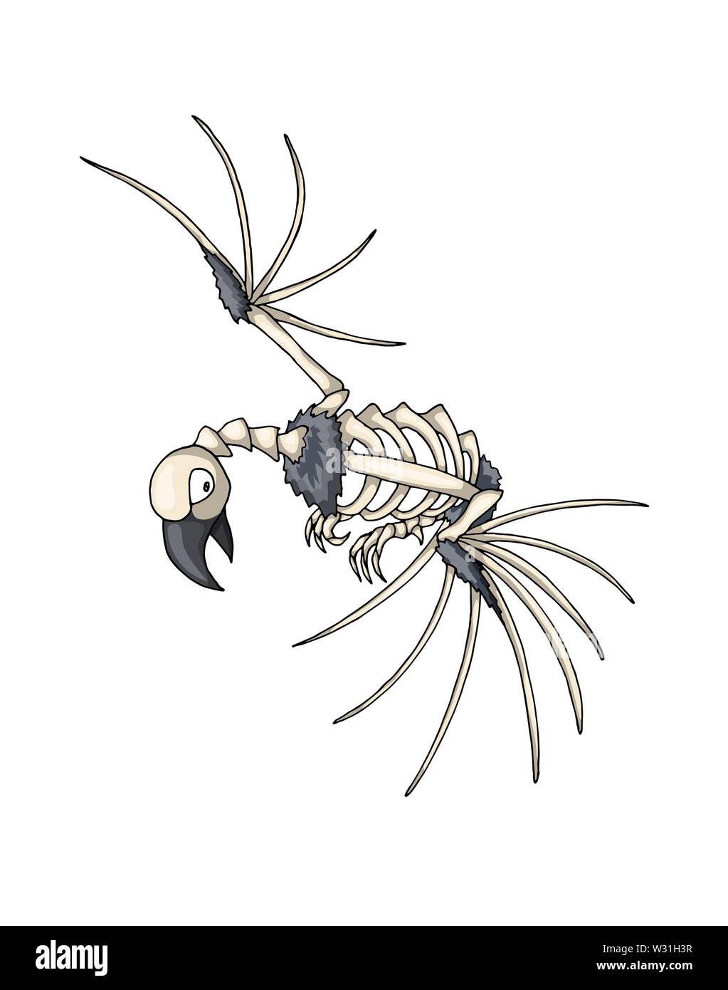 Skeleton bird drawing hi-res stock photography and images - Alamy
