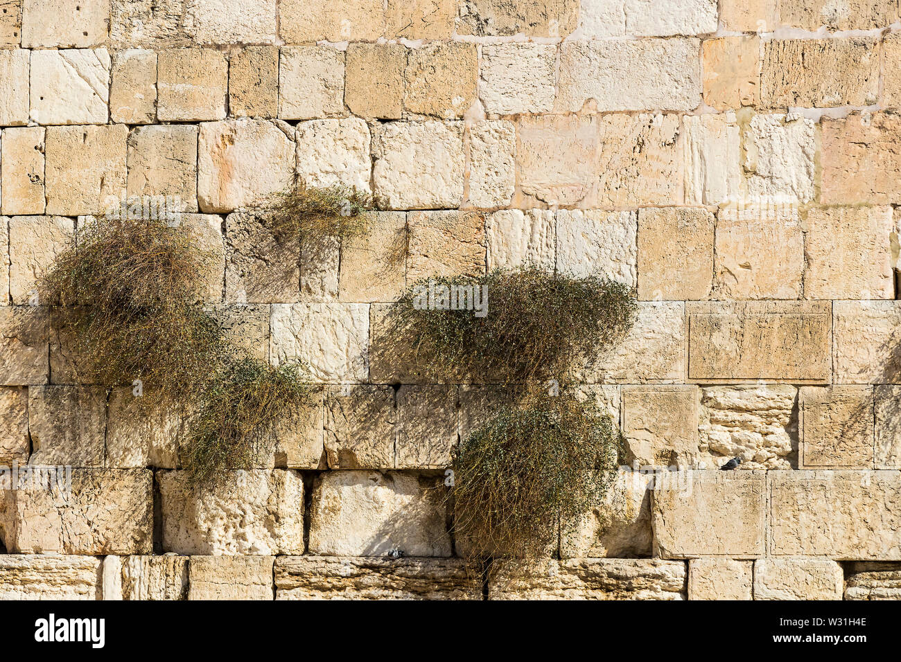 Stone blocks of the crying wall in Jerusalem Stock Photo - Alamy
