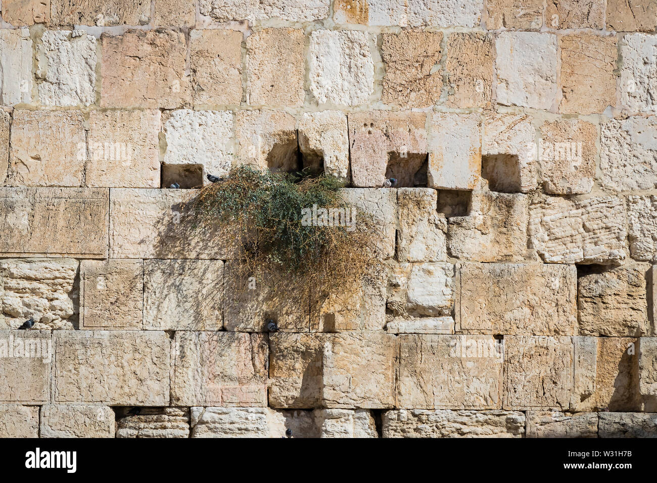 Stone blocks of the crying wall in Jerusalem Stock Photo - Alamy