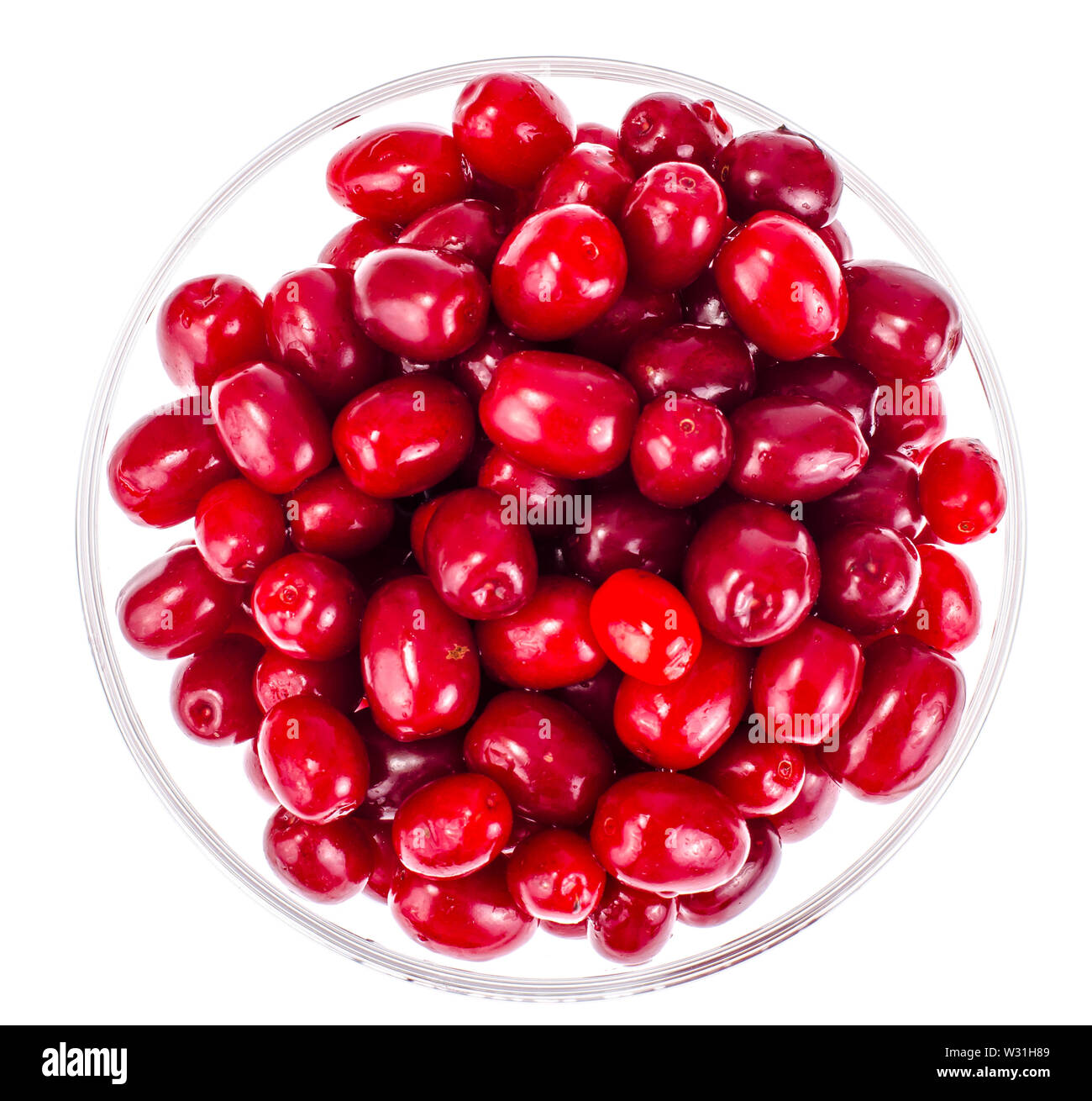 Red berries ripe dogwood Cut Out Stock Images & Pictures - Alamy