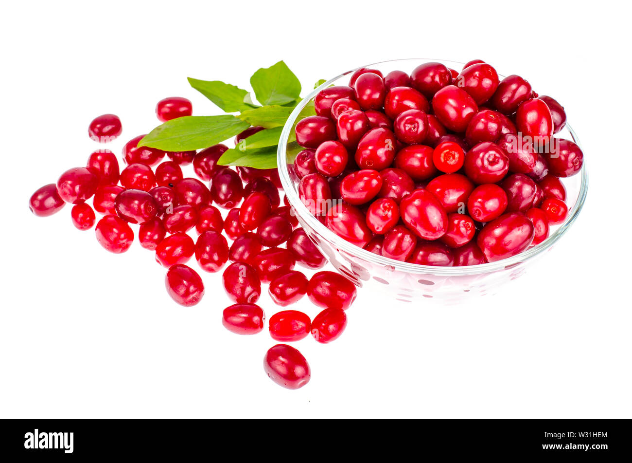 Red ripe berries of Cornus mas Stock Photo - Alamy