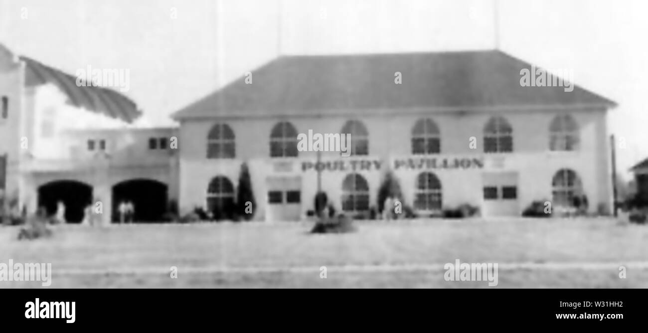 Poultry management techniques Black and White Stock Photos & Images - Alamy