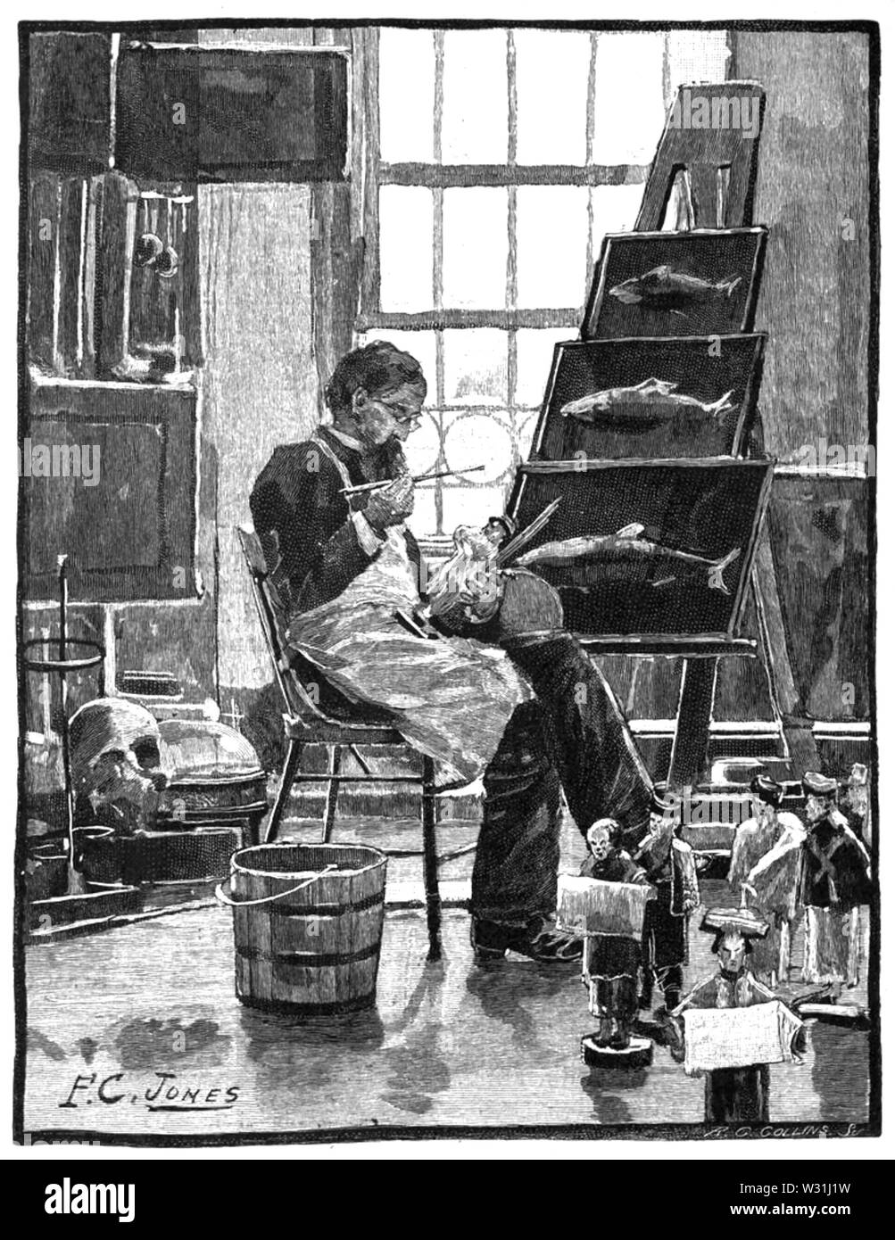 Smithsonian institution 19th century Cut Out Stock Images & Pictures ...