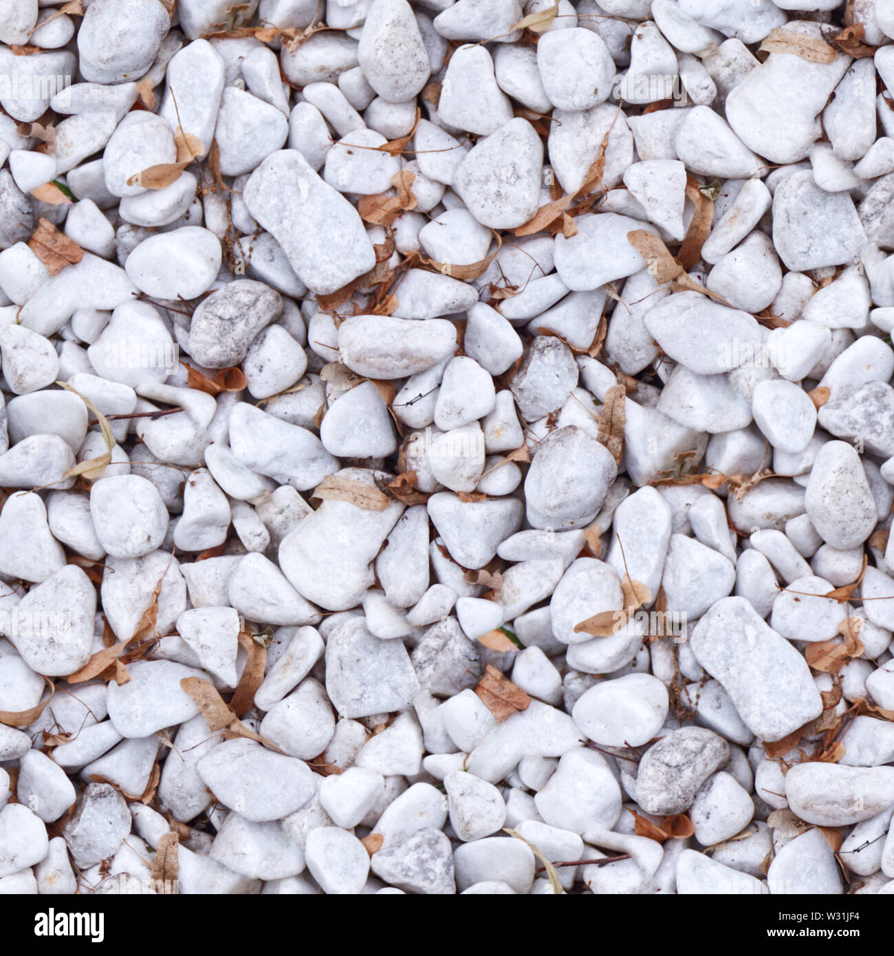 Abstract seamless texture for designers with broken rocks in park lane ...