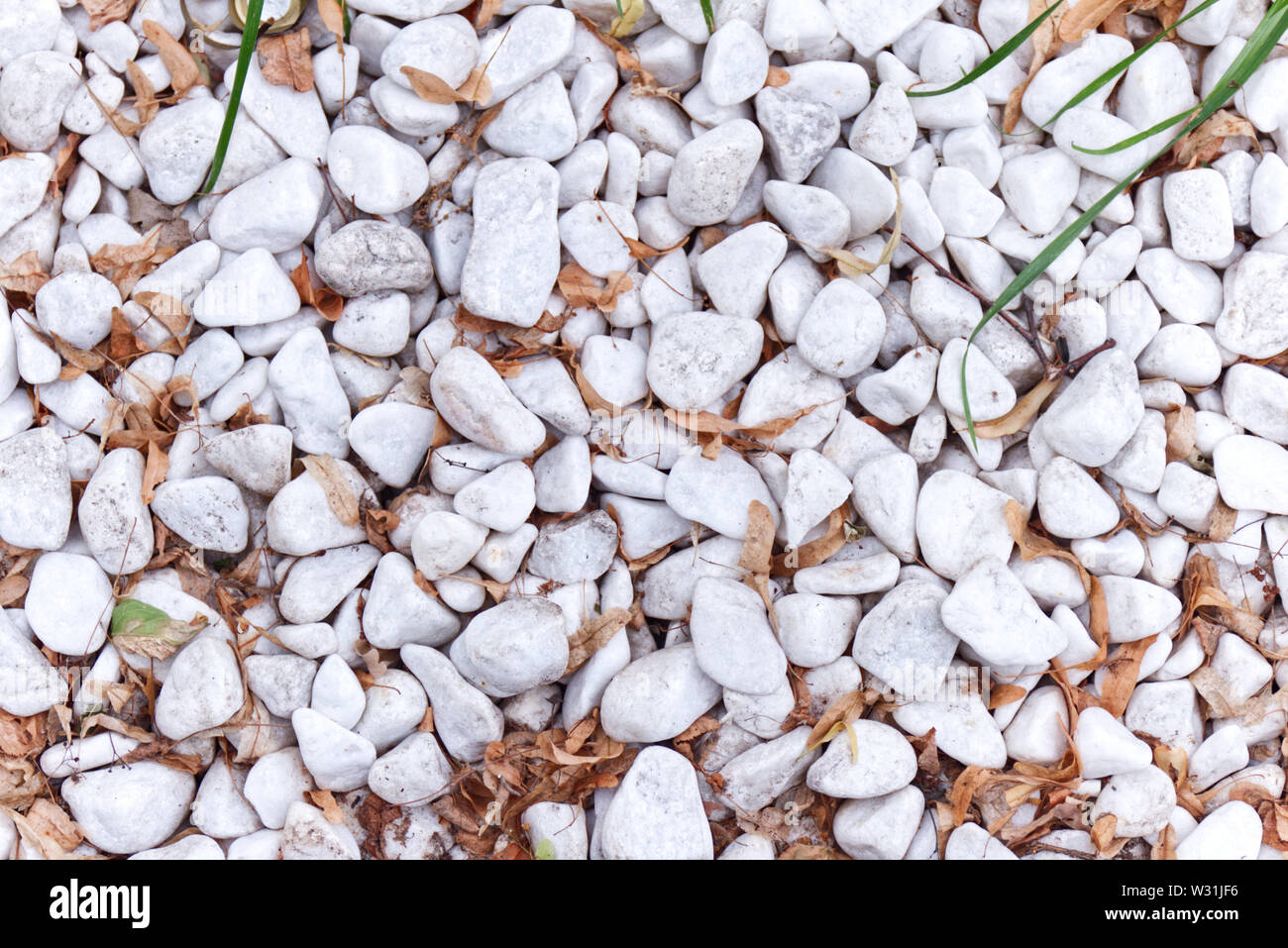 Abstract image texture for designers with broken rocks in park lane ...