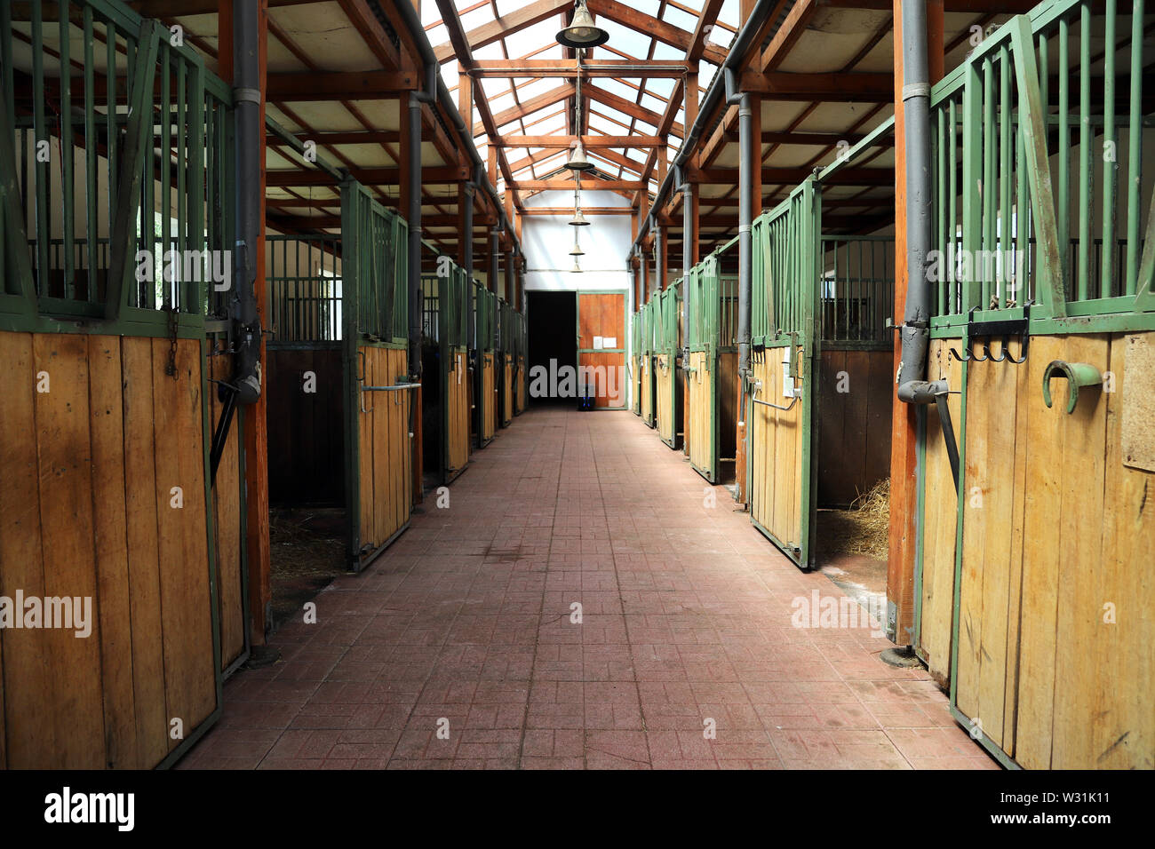 Horizontal picture of empty clear horse stable without horses Stock ...