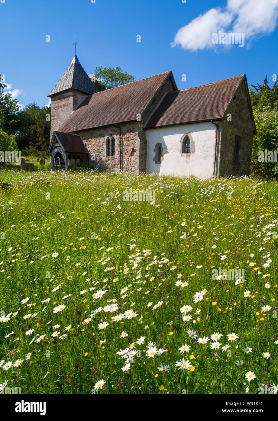 Springtime at St John the Baptist's Church, Hope Bagot, Shropshire ...