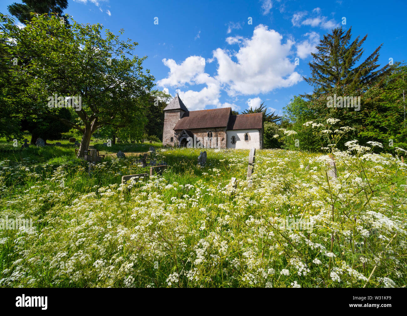 Springtime at St John the Baptist's Church, Hope Bagot, Shropshire ...