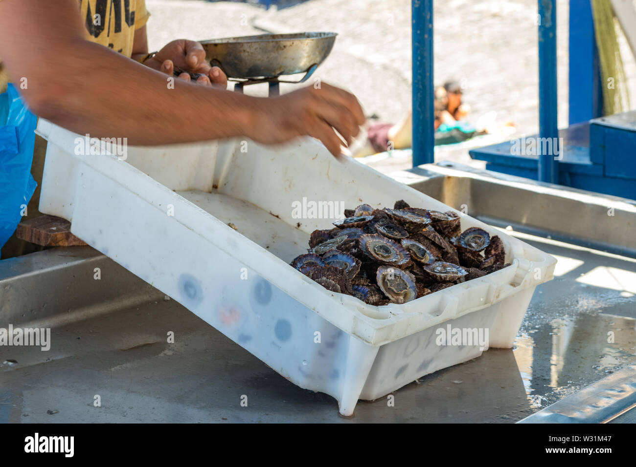 Fisherman after a successful fishing, behind the counter sells his ...