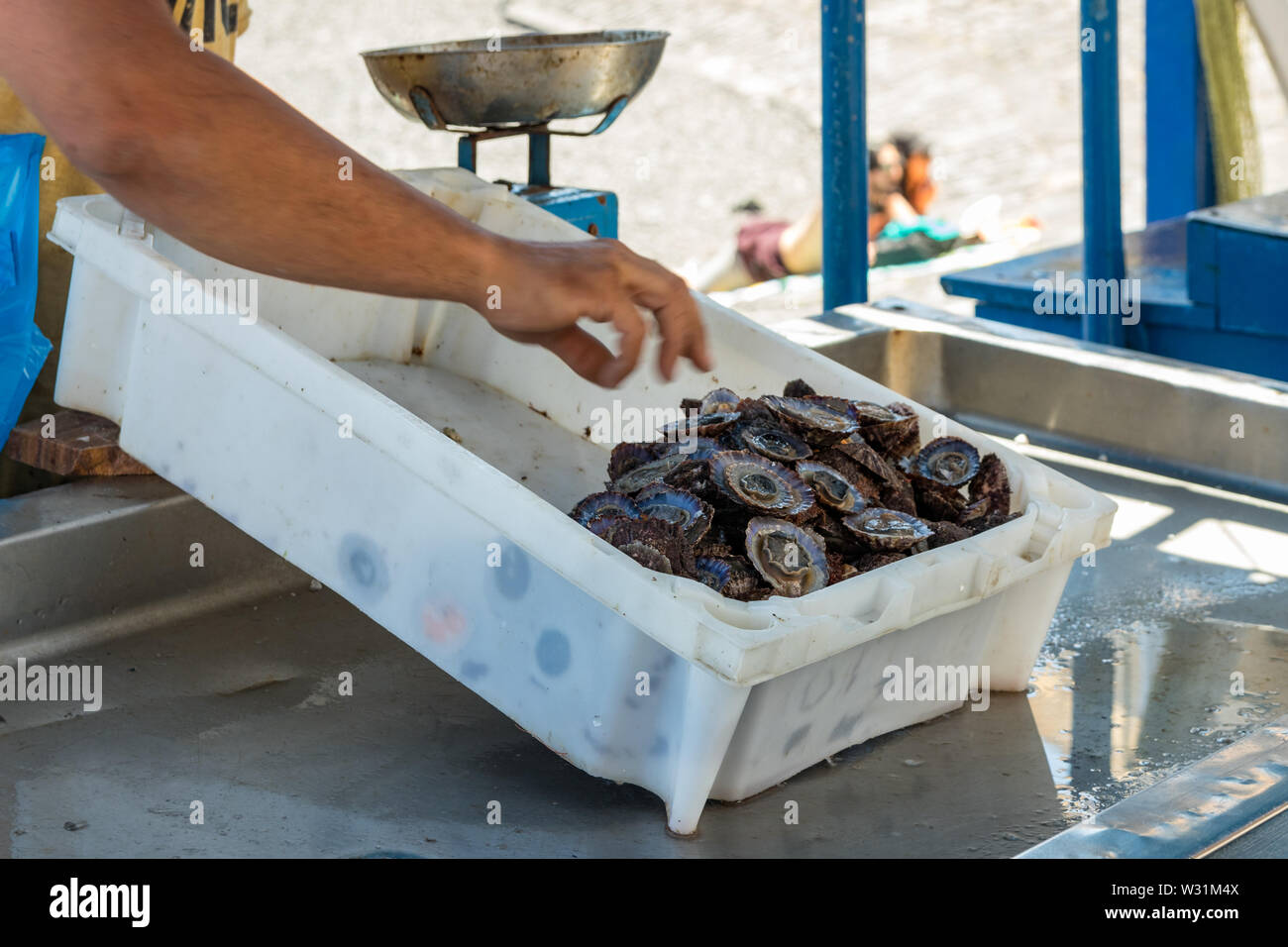 Fisherman after a successful fishing, behind the counter sells his ...