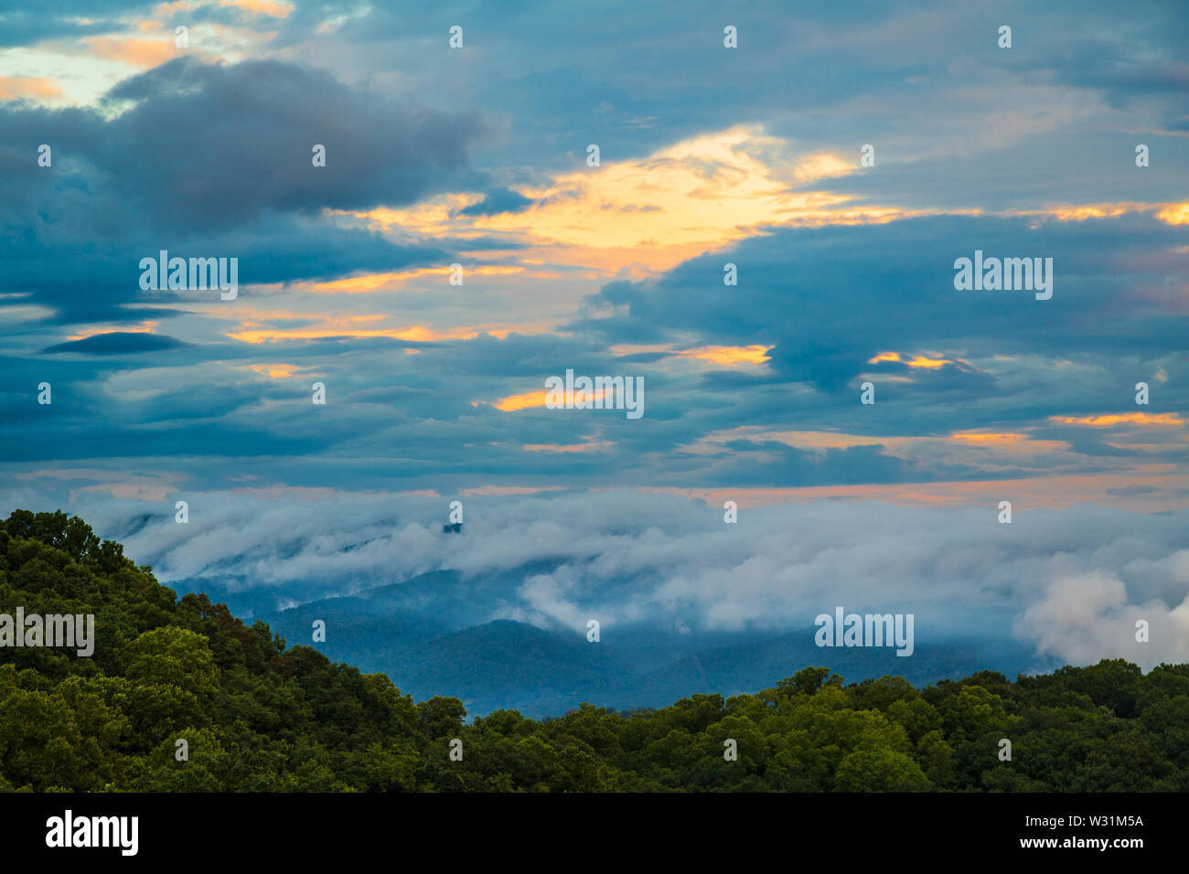 Western north carolina forest hi-res stock photography and images - Alamy