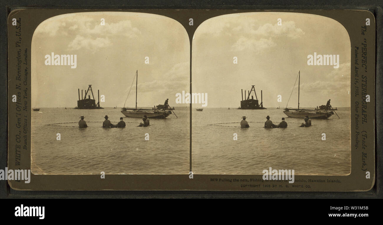 Pulling the nets, fishing in the Bay of Honolulu, Hawaiian Islands, by ...