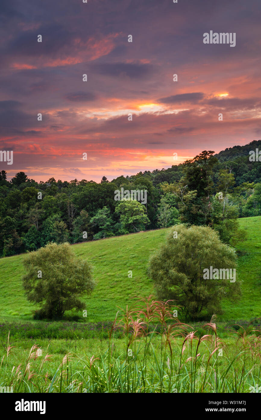 Penland hi-res stock photography and images - Alamy