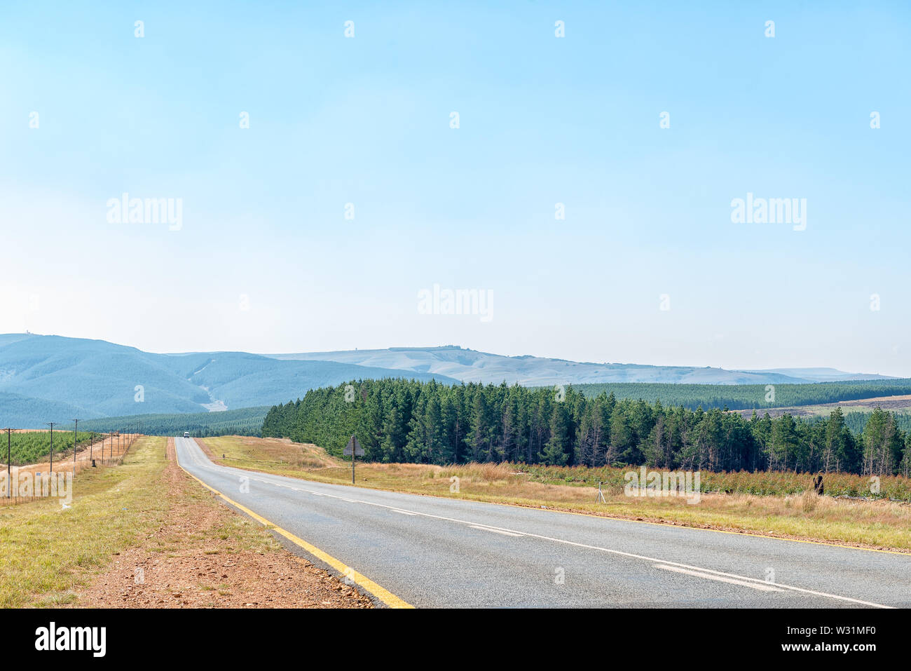 Road landscape next to road R38 between Carolina and Badplaas in the ...