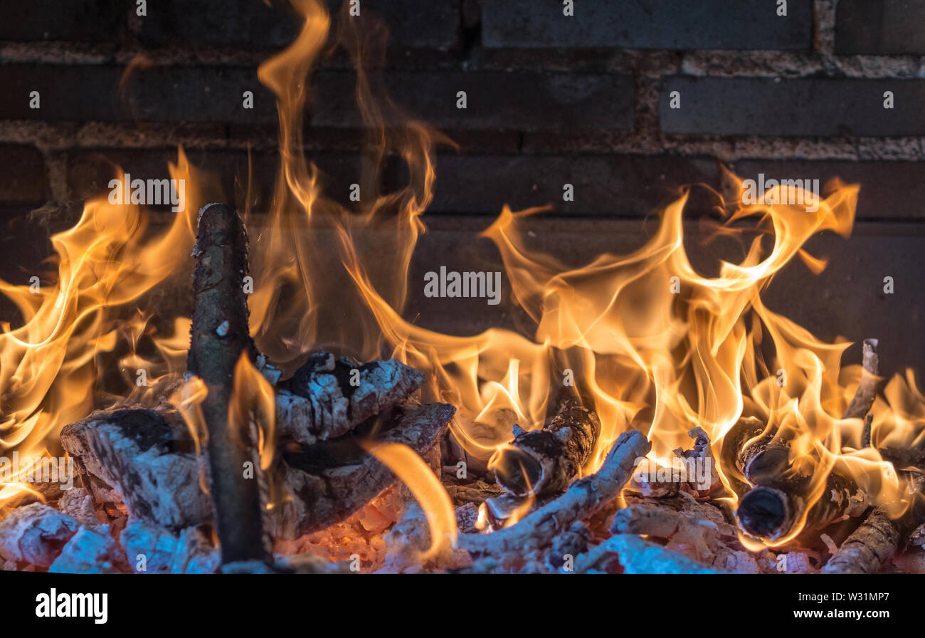Fire made with wood from a tree to prepare a barbecue Stock Photo - Alamy