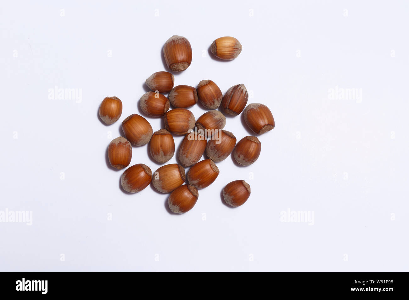 Top view of hazelnuts isolated on white background Stock Photo - Alamy
