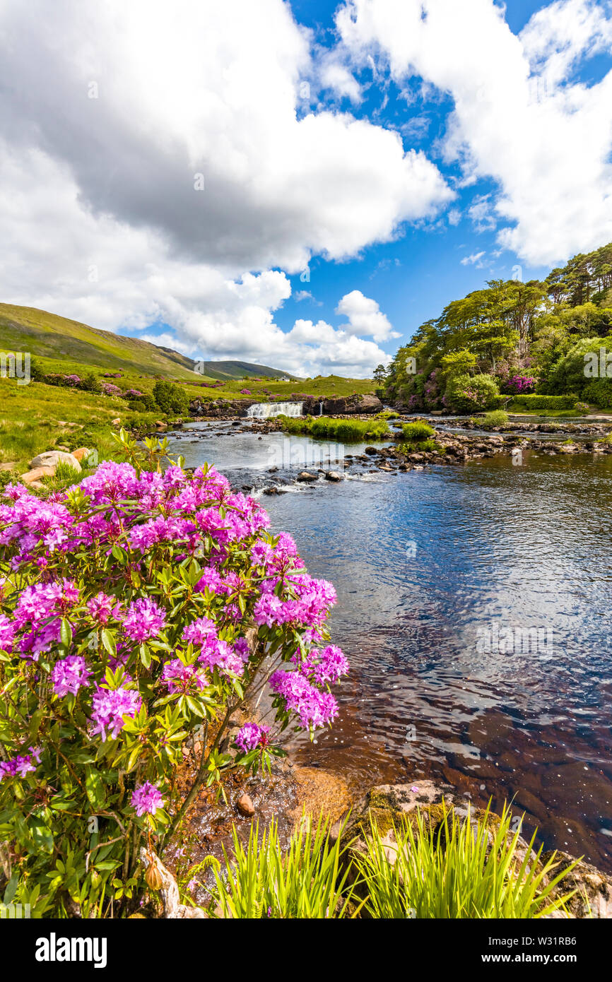Ashleigh falls hi-res stock photography and images - Alamy