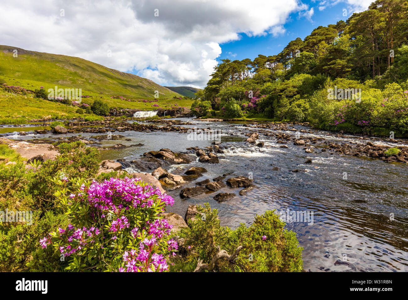 Ashleigh Falls High Resolution Stock Photography and Images - Alamy