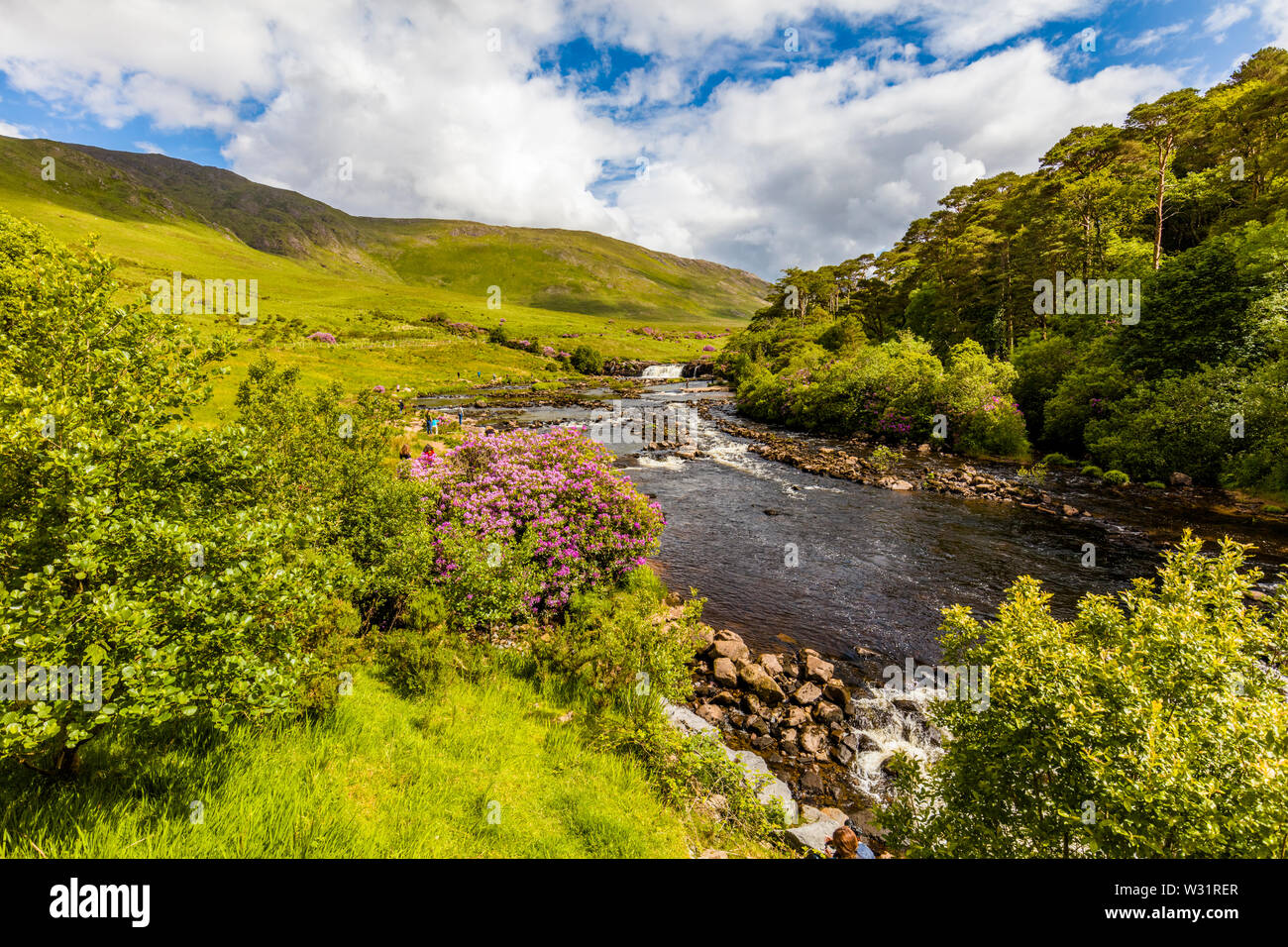 Ashleigh falls hi-res stock photography and images - Alamy