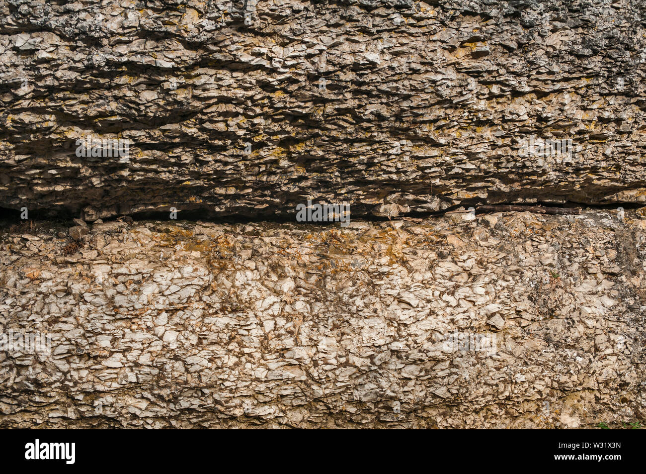 Sediment stone rock surface closeup as natural stone background Stock ...