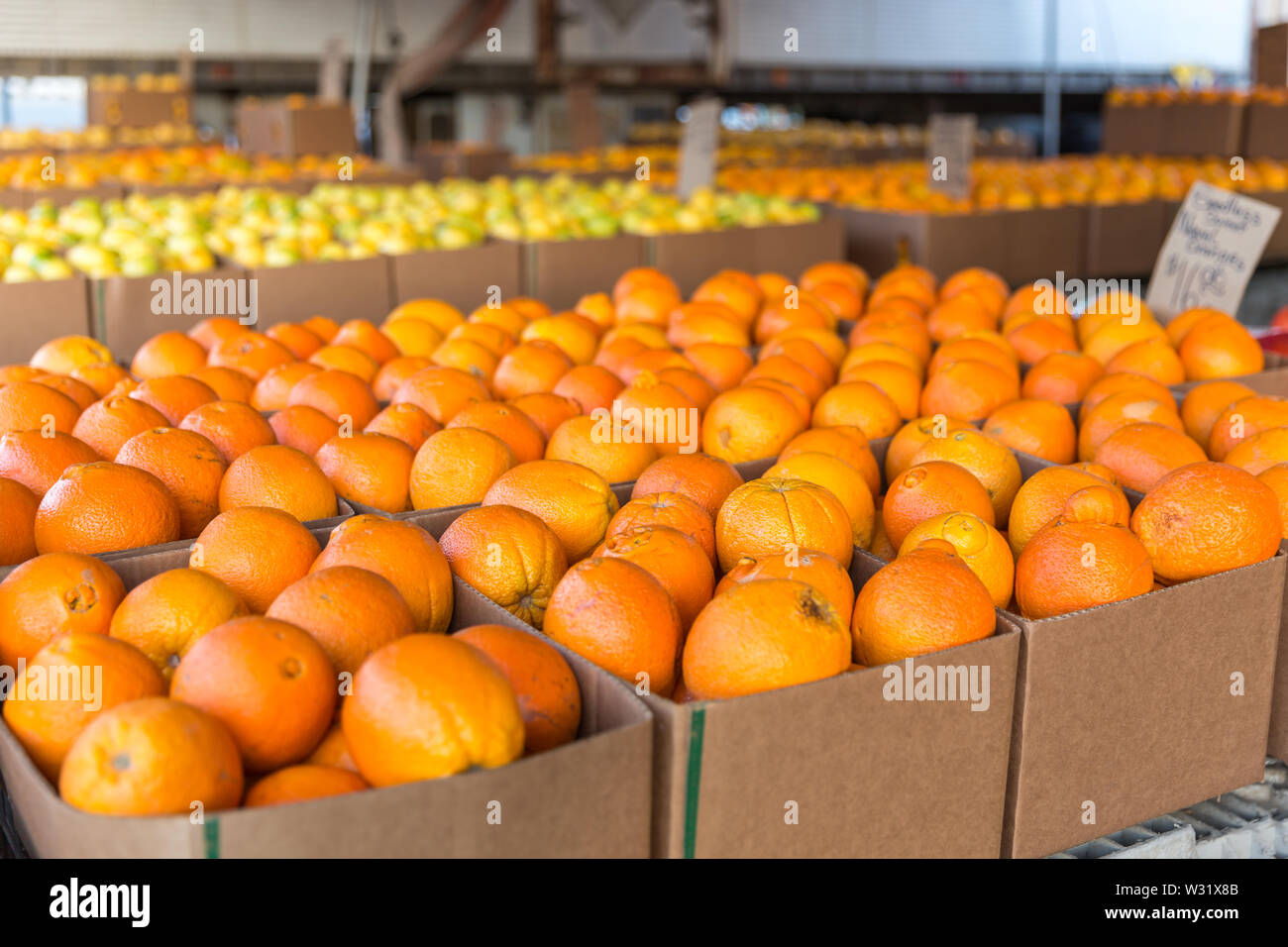 Fresh oranges in boxes on local market Stock Photo - Alamy