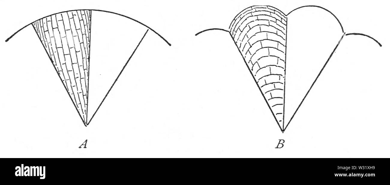 Ribbed Cut Out Stock Images & Pictures - Alamy
