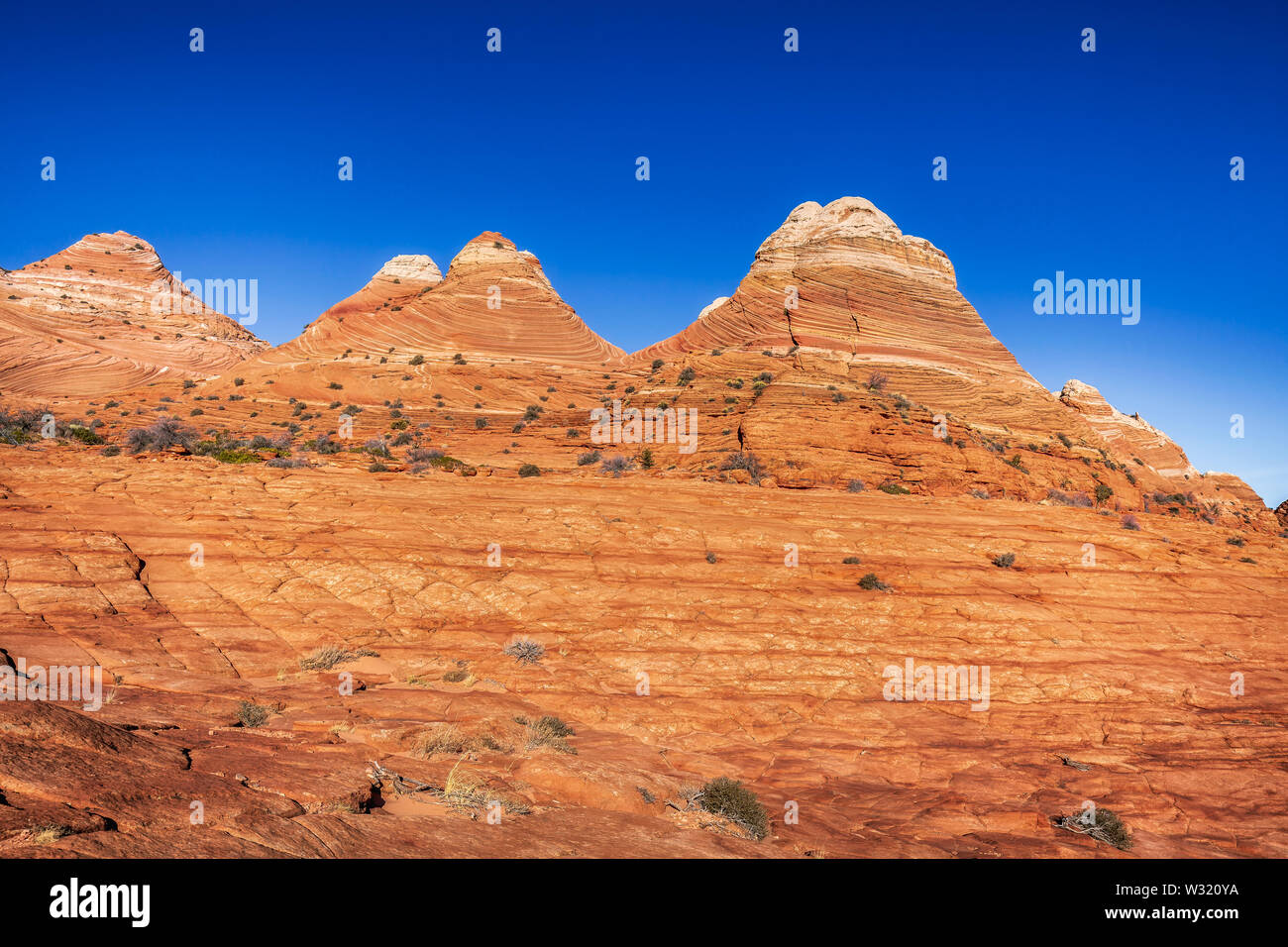 The Wave, Arizona, Canyon Rock Formation. Vermillion Cliffs, Paria ...