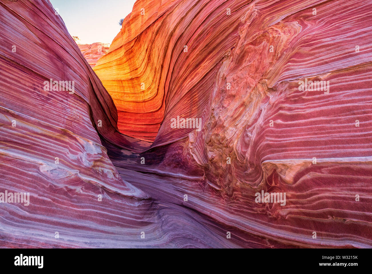 The Wave, Arizona, Canyon Rock Formation. Vermillion Cliffs, Paria ...