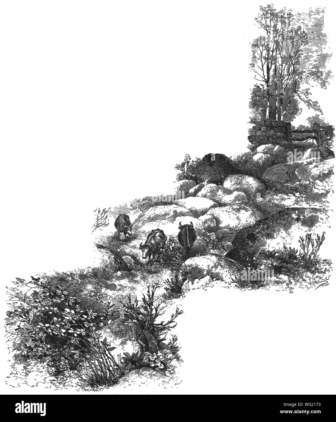 Hill farmland Cut Out Stock Images & Pictures - Alamy