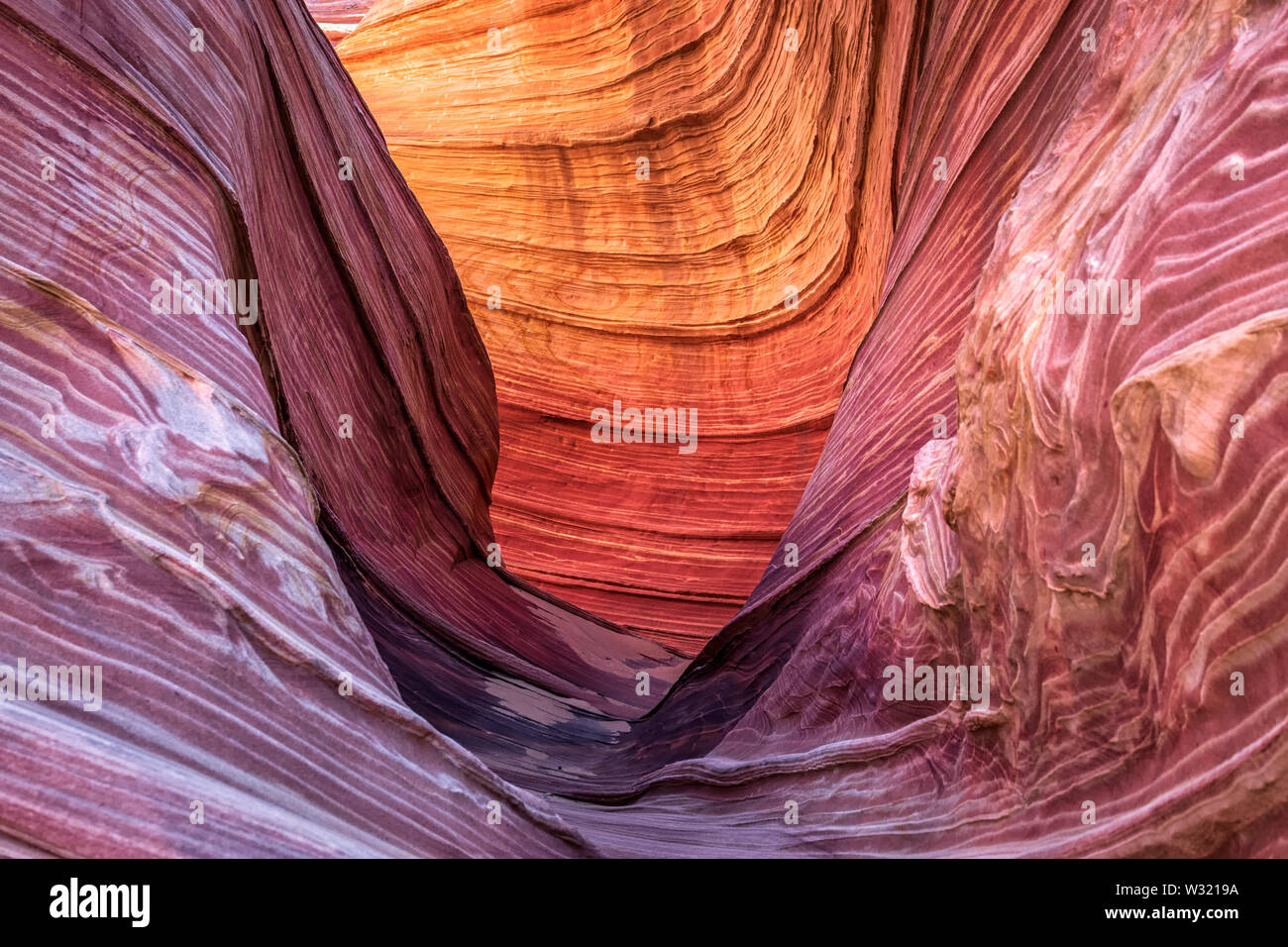 The Wave, Arizona, Canyon Rock Formation. Vermillion Cliffs, Paria ...