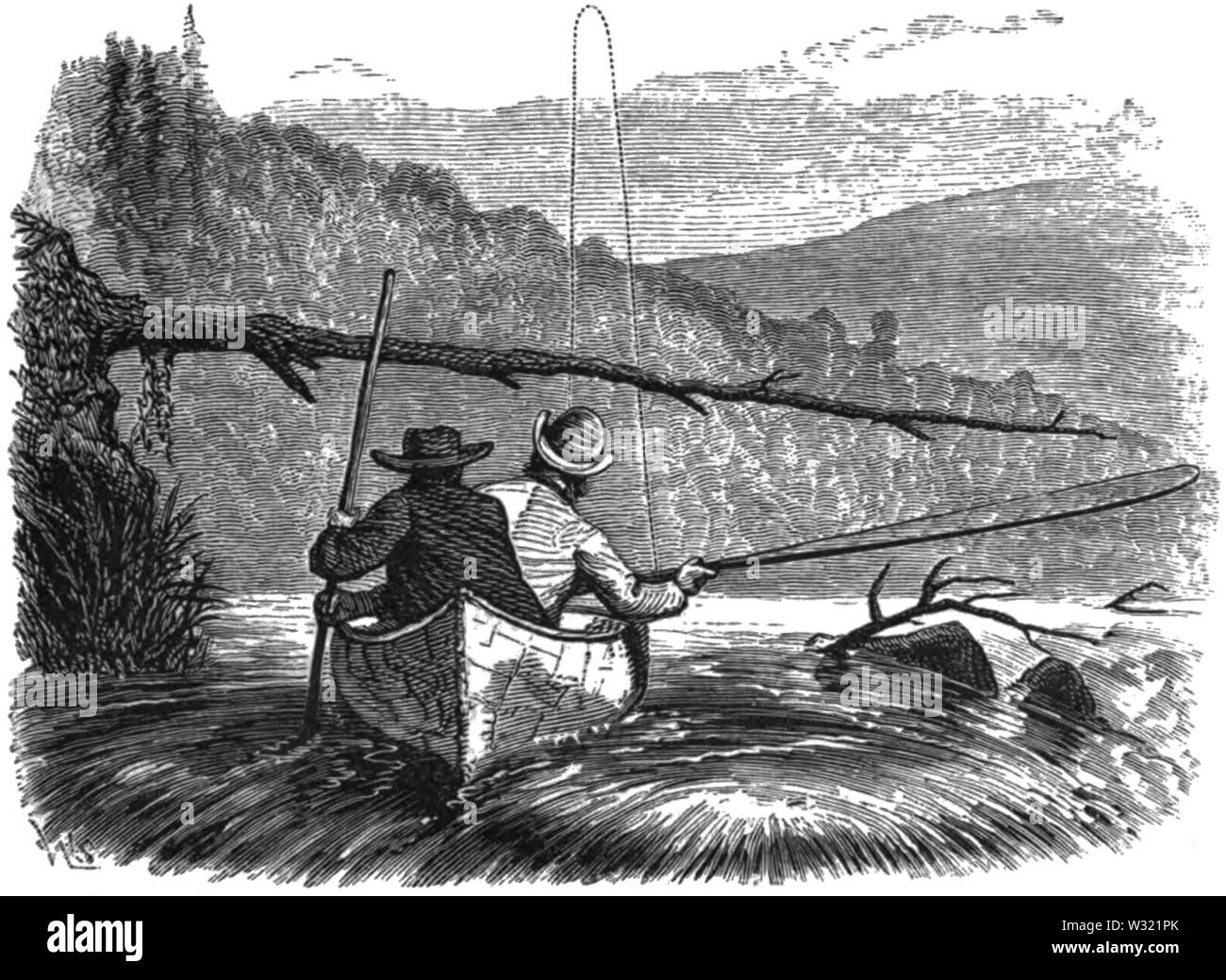 Marine species awareness Cut Out Stock Images & Pictures - Alamy