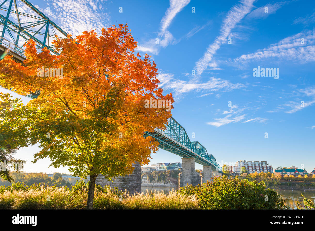 Chattanooga, Tennessee, USA during fall season at Walnut Street Bridge ...