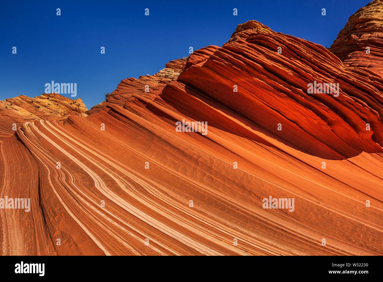 The Wave, Arizona, Canyon Rock Formation. Vermillion Cliffs, Paria ...