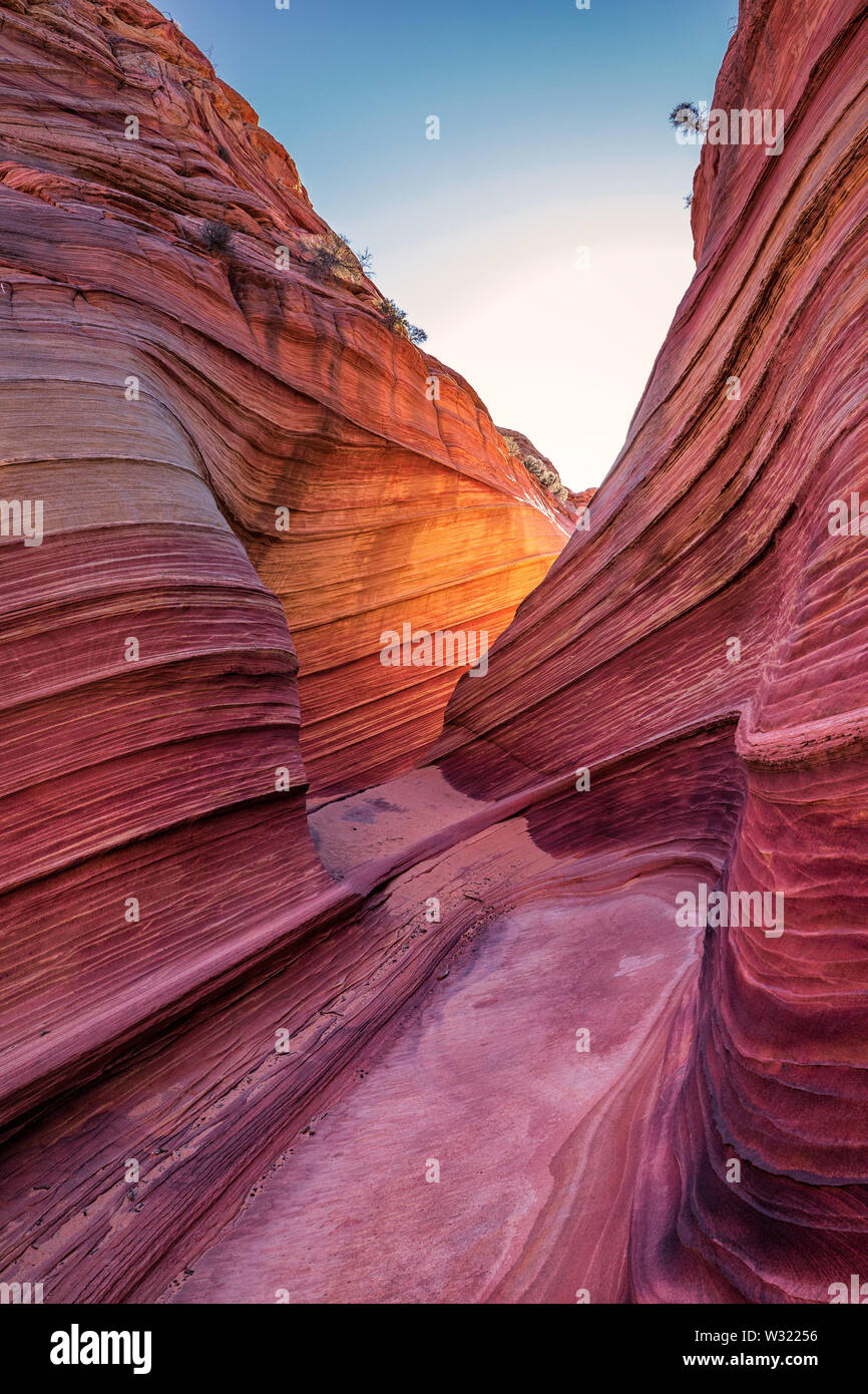The Wave, Arizona, Canyon Rock Formation. Vermillion Cliffs, Paria ...