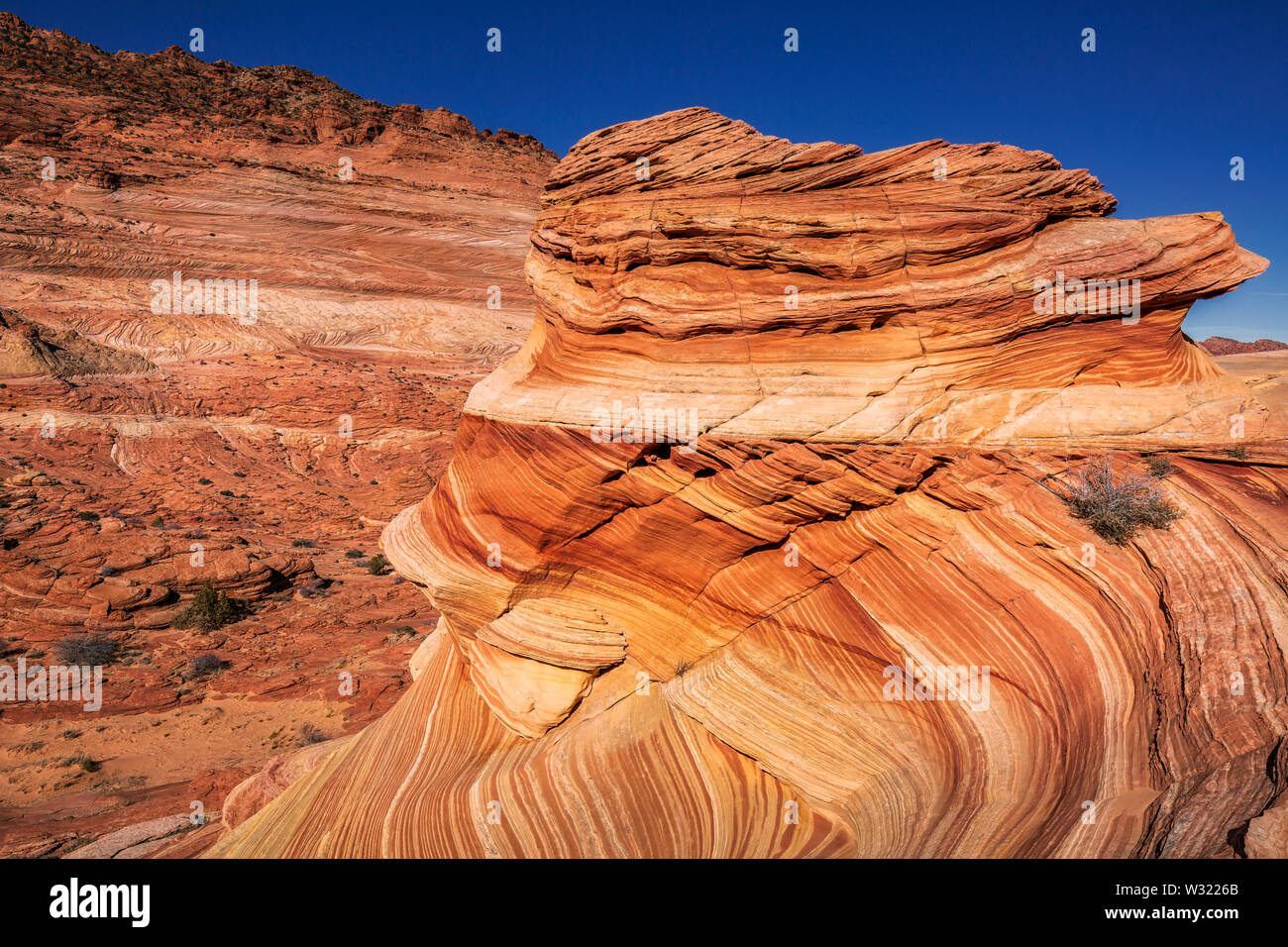 The Wave, Arizona, Canyon Rock Formation. Vermillion Cliffs, Paria ...