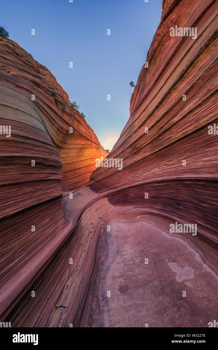 The Wave, Arizona, Canyon Rock Formation. Vermillion Cliffs, Paria ...