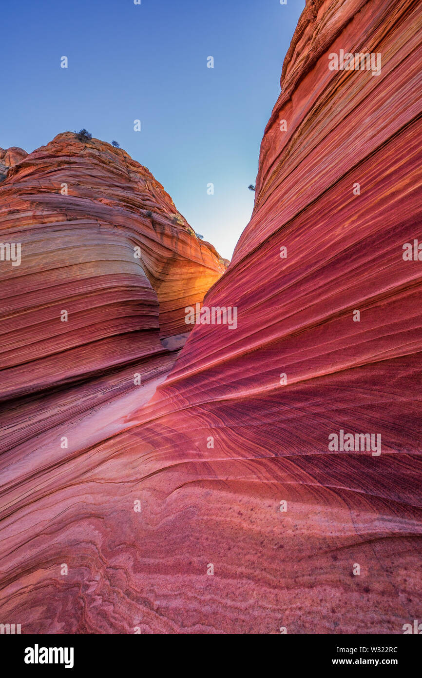 The Wave, Arizona, Canyon Rock Formation. Vermillion Cliffs, Paria ...