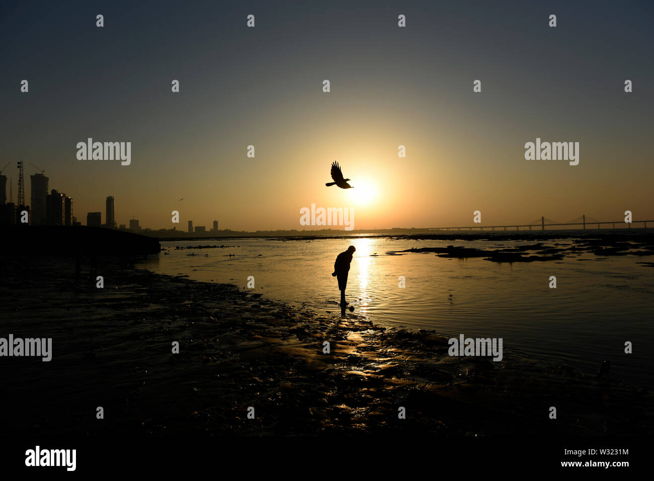 India flies hi-res stock photography and images - Alamy