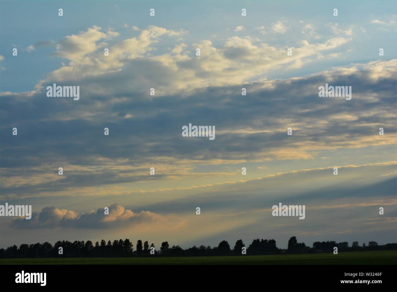 early evening sky with mix of clouds and low light with trees ...
