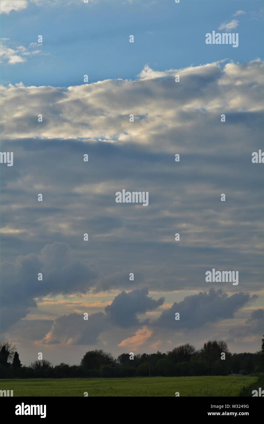 early evening sky with mix of clouds and low light with trees ...