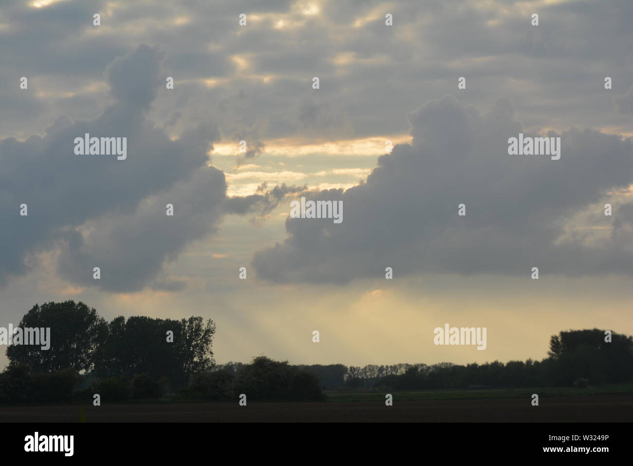 early evening sky with mix of clouds and low light with trees ...